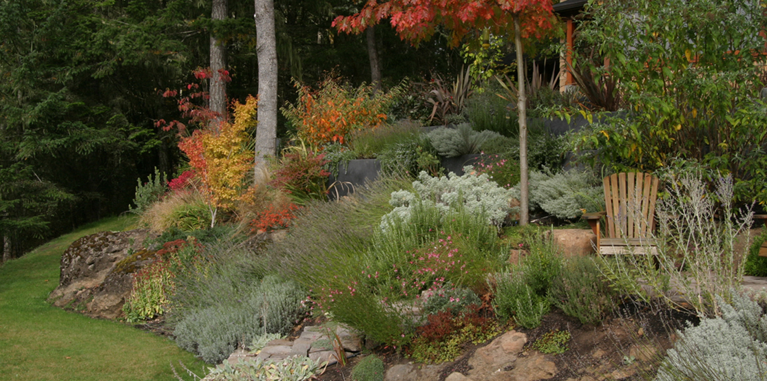 Pattern Lanuage Garden - Lovinger Robertson Landscape Architect