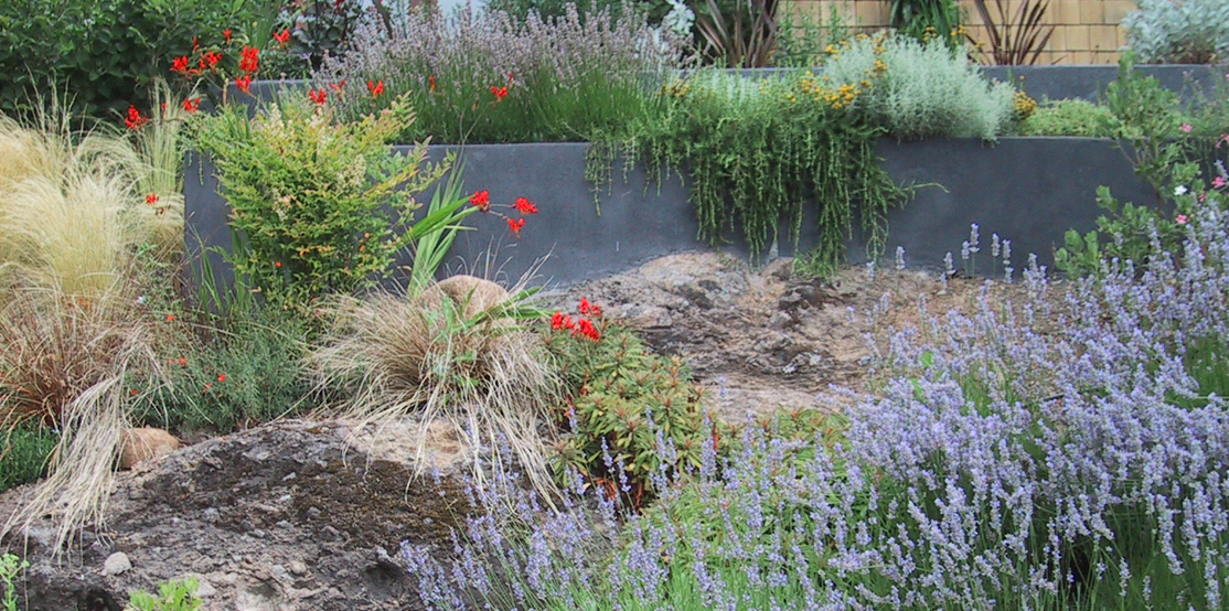 Pattern Lanuage Garden - Lovinger Robertson Landscape Architect